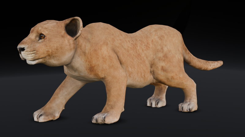 Baby Lion Animated 3D Model in Wildlife 3DExport
