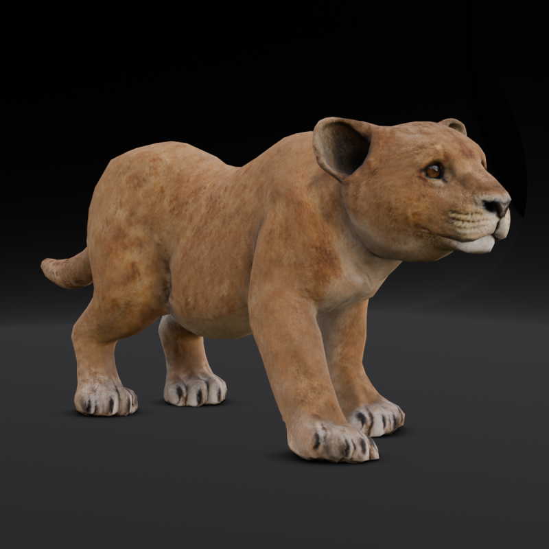 Baby Lion Animated 3D Model in Wildlife 3DExport