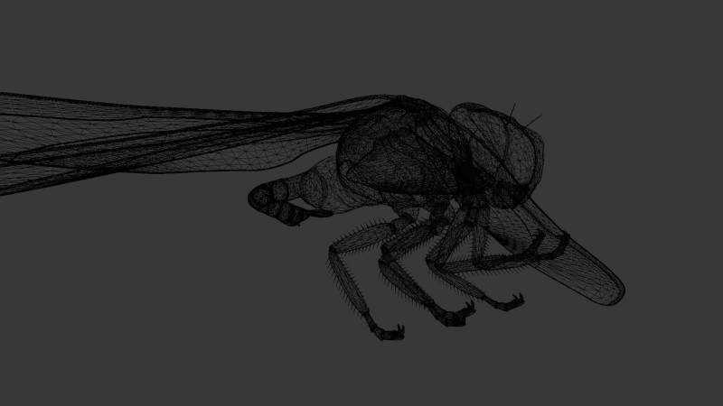 Dragonfly Animated 3D Model in Insects 3DExport