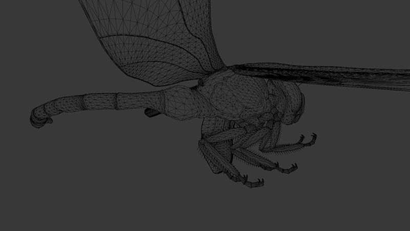 Dragonfly Animated 3D Model in Insects 3DExport