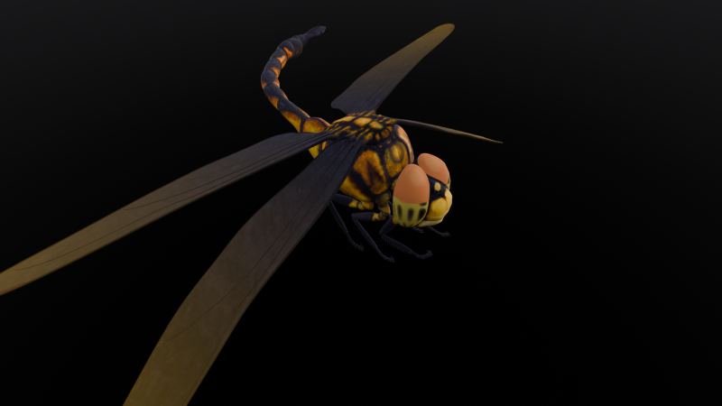 Dragonfly Animated 3D Model in Insects 3DExport