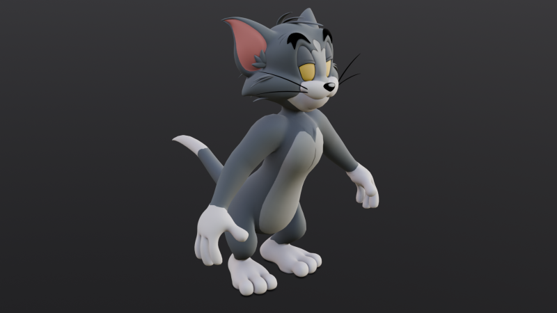 Tom Rigged 3D Model in Cartoon 3DExport