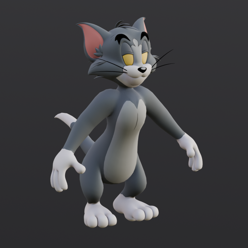Tom Rigged 3D Model in Cartoon 3DExport