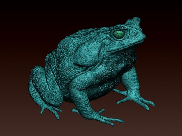 Cane toad 3D Print Model in Figurines 3DExport