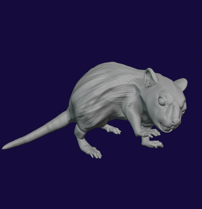 Pack of giant Rats 3D Print Model in Animals 3DExport