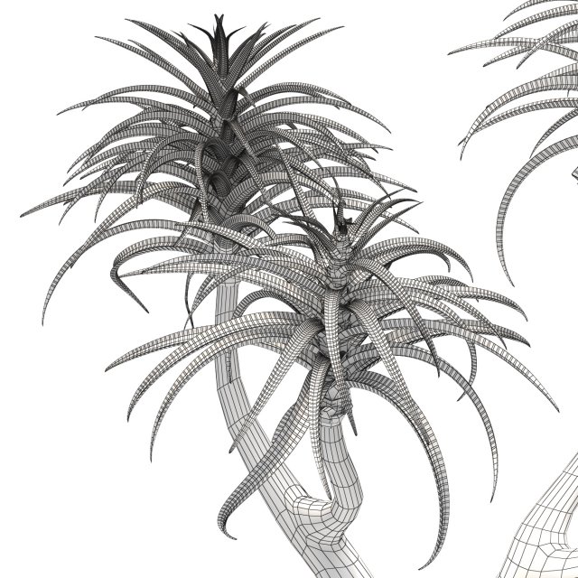 Aloe Barber Tree 3D Model in Tree 3DExport