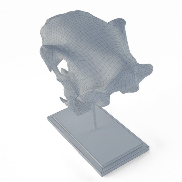 Skull of saber-toothed tiger 3D Model in Dinosaur 3DExport
