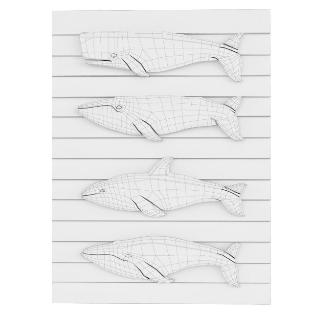 Whales 3D Model in Aquatic 3DExport