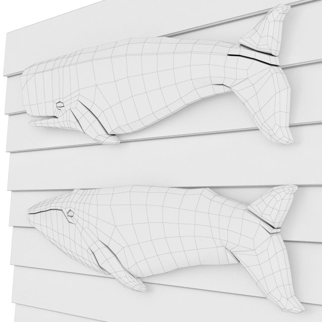 Whales 3D Model in Aquatic 3DExport