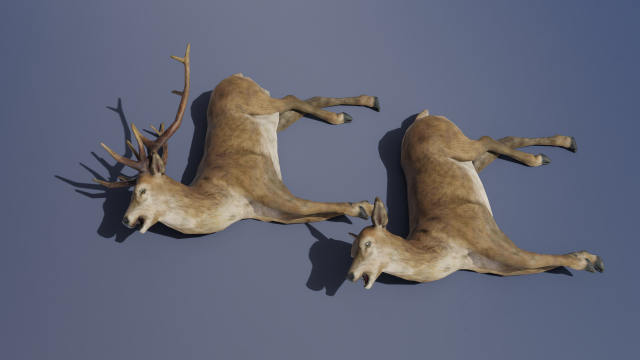 PUBG Mobile Deer Stag and Doe Animated and Rigged 3D Model in Deer 3DExport
