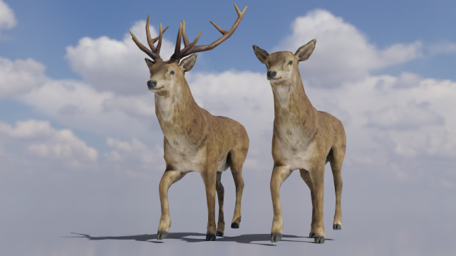 PUBG Mobile Deer Stag and Doe Animated and Rigged 3D Model in Deer 3DExport