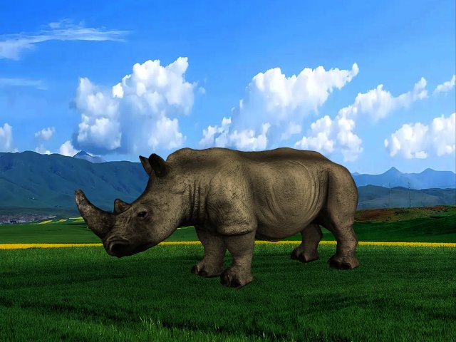 Rhino 3D Model in Other 3DExport