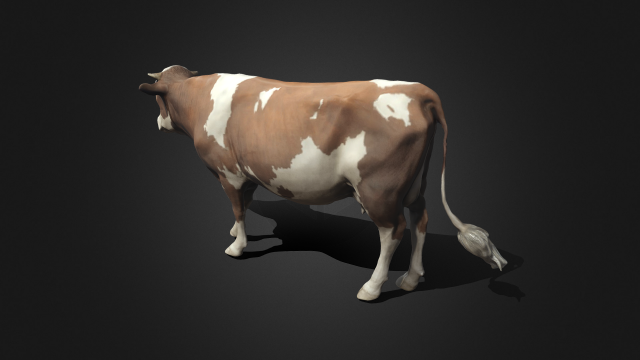 Cow 3D Model in Cow 3DExport