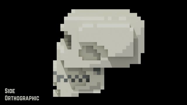 Voxel Human Skull 3D Model in Anatomy 3DExport