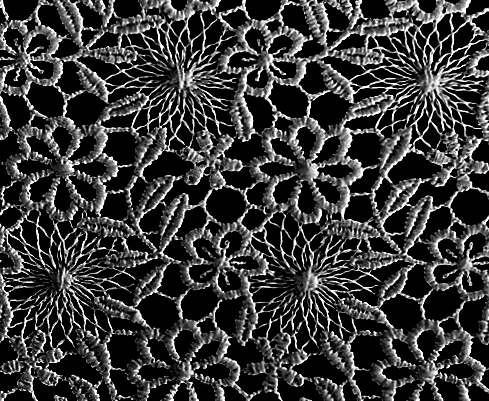 Lace CG Textures in Fabric 3DExport