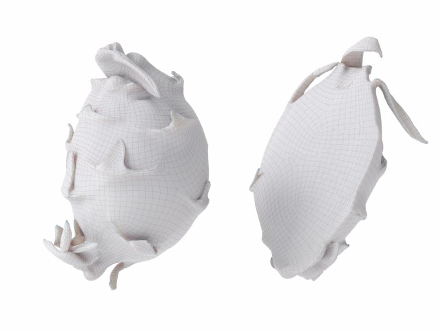 Dragon Fruits 3D Model in Fruit 3DExport