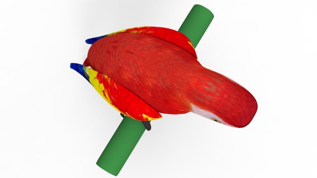 Parrot 3D Model in Bird 3DExport