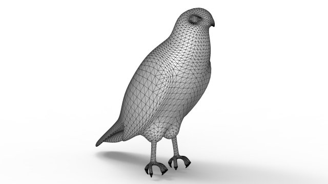 Hawk 3D Model in Bird 3DExport
