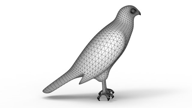 Hawk 3D Model in Bird 3DExport