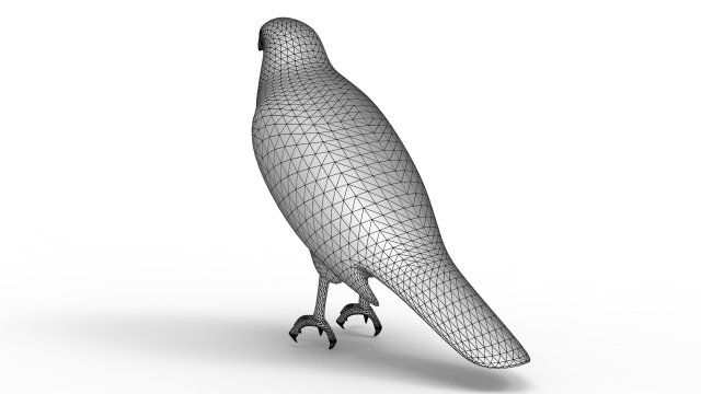 Hawk 3D Model in Bird 3DExport