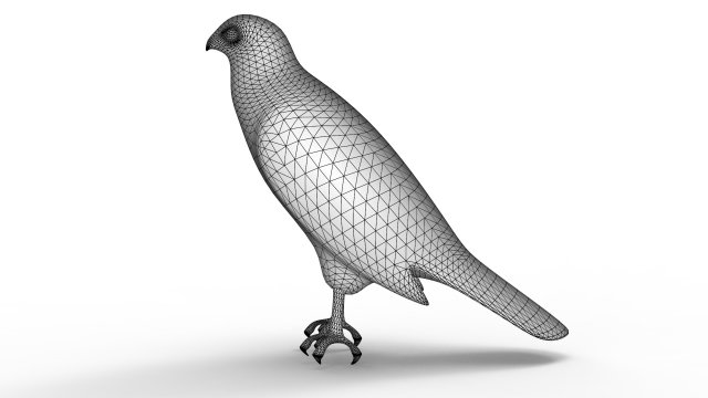 Hawk 3D Model in Bird 3DExport