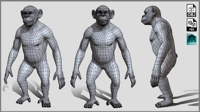 Chimpanzee model 3D Model in Other 3DExport