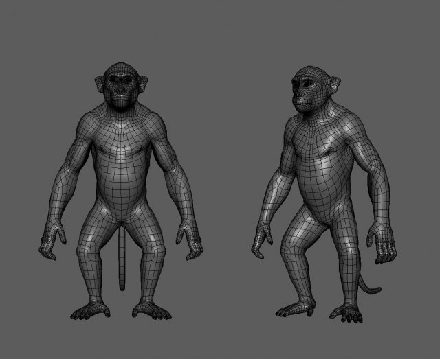 Monkey Model 3D Model in Other 3DExport