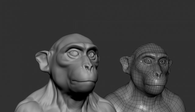Monkey Model 3D Model in Other 3DExport
