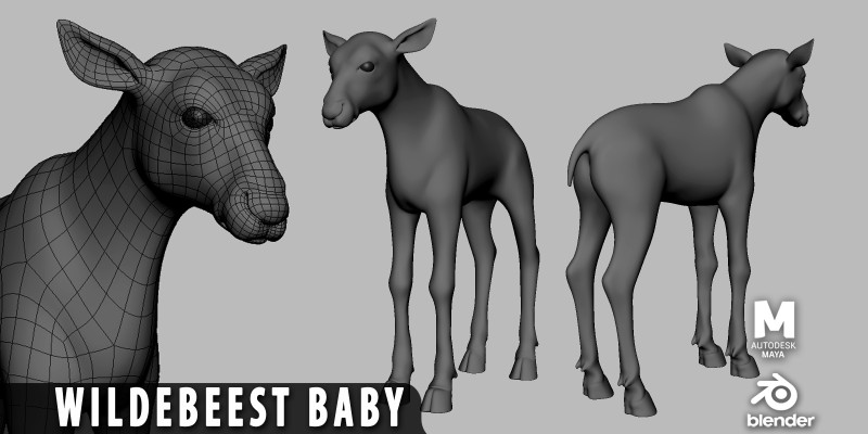 Wild Animal Baby - Topology UV Map 3D Model in Wildlife 3DExport