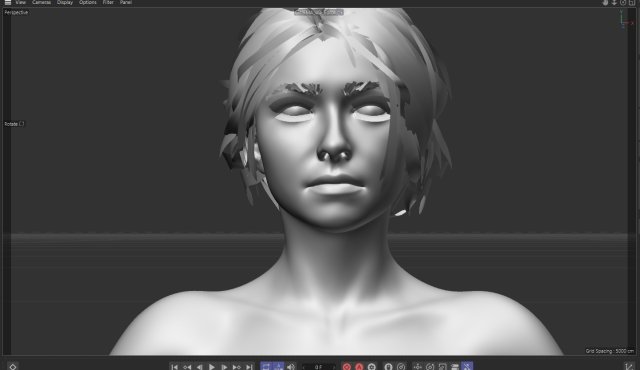 Hayden Panettiere sam giddings 3D Model in Woman 3DExport