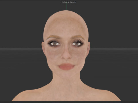 Hayden Panettiere 3D Model in Woman 558982 | 3DExport