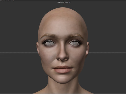 Hayden Panettiere 3D Model in Woman 558982 | 3DExport