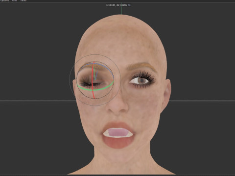 Hayden Panettiere 3D Model in Woman 558982 | 3DExport