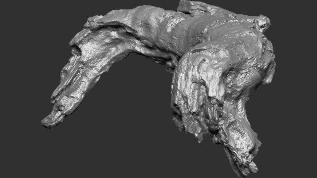 3d scan of tree trunk in highpoly 3D Model in Tree 3DExport
