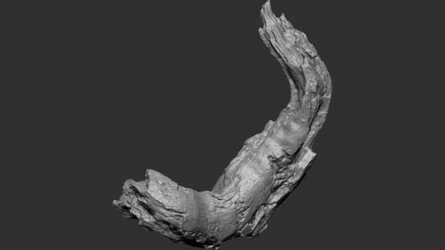 3d scan of tree trunk in highpoly 3D Model in Tree 3DExport