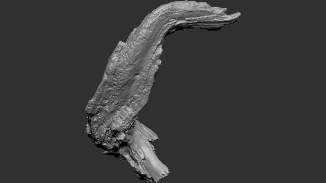 3d scan of tree trunk in highpoly 3D Model in Tree 3DExport