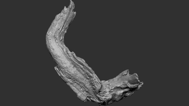 3d scan of tree trunk in highpoly 3D Model in Tree 3DExport