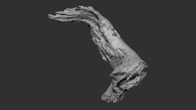 3d scan of tree trunk in highpoly 3D Model in Tree 3DExport