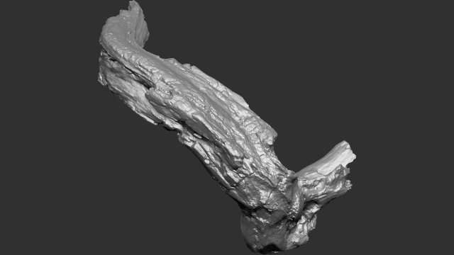 3d scan of tree trunk in highpoly 3D Model in Tree 3DExport