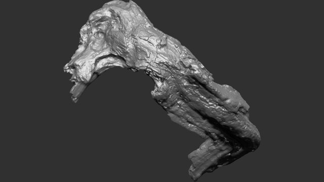 3d scan of tree trunk in highpoly 3D Model in Tree 3DExport