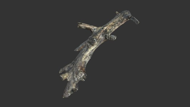 Realistic tree trunks with branches Modelo 3D in Árvore 3DExport