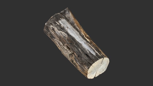 A withered piece of wood 3d scan in highpoly 3D Model in Tree 3DExport