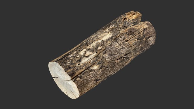 A withered piece of wood 3d scan in highpoly 3D Model in Tree 3DExport