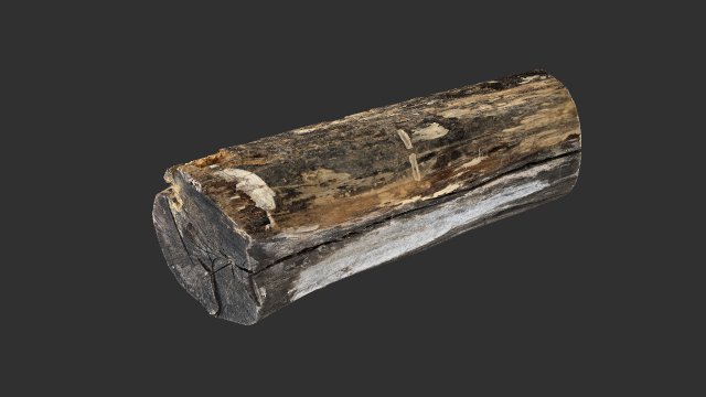 A withered piece of wood 3d scan in highpoly 3D Model in Tree 3DExport