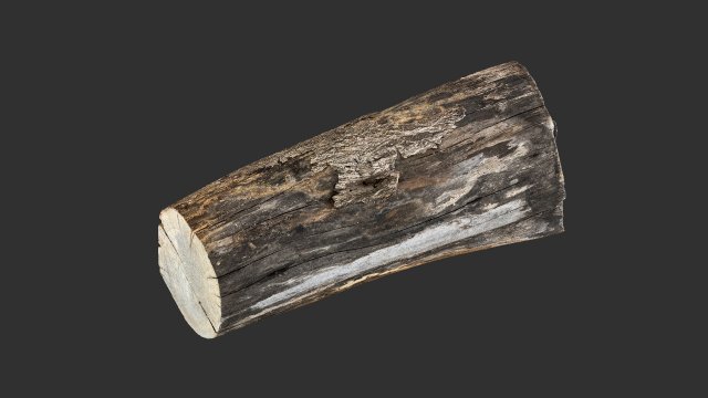 A withered piece of wood 3d scan in highpoly 3D Model in Tree 3DExport