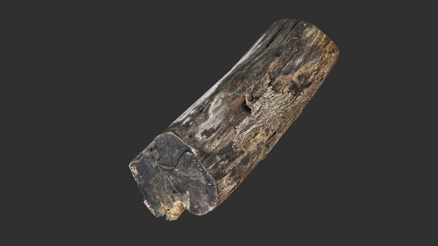 A withered piece of wood 3d scan in highpoly 3D Model in Tree 3DExport