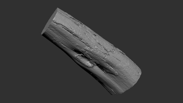 A withered piece of wood 3d scan in highpoly 3D Model in Tree 3DExport