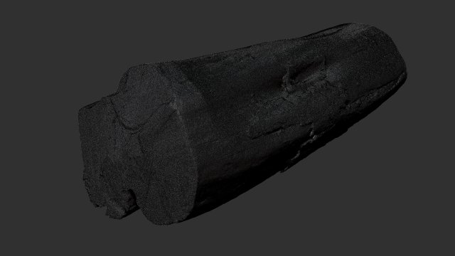 A withered piece of wood 3d scan in highpoly 3D Model in Tree 3DExport