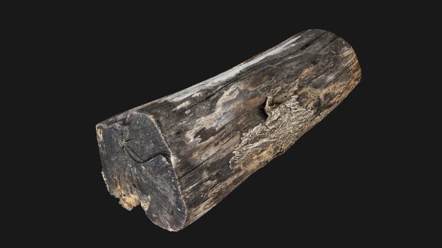 A withered piece of wood 3d scan in highpoly 3D Model in Tree 3DExport