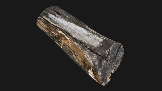 A withered piece of wood 3d scan in highpoly 3D Model in Tree 3DExport